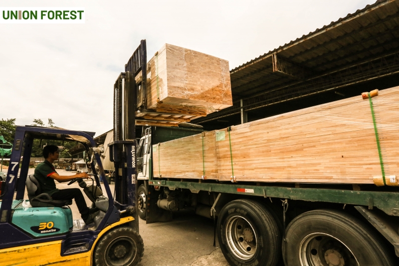 About – Union Forest