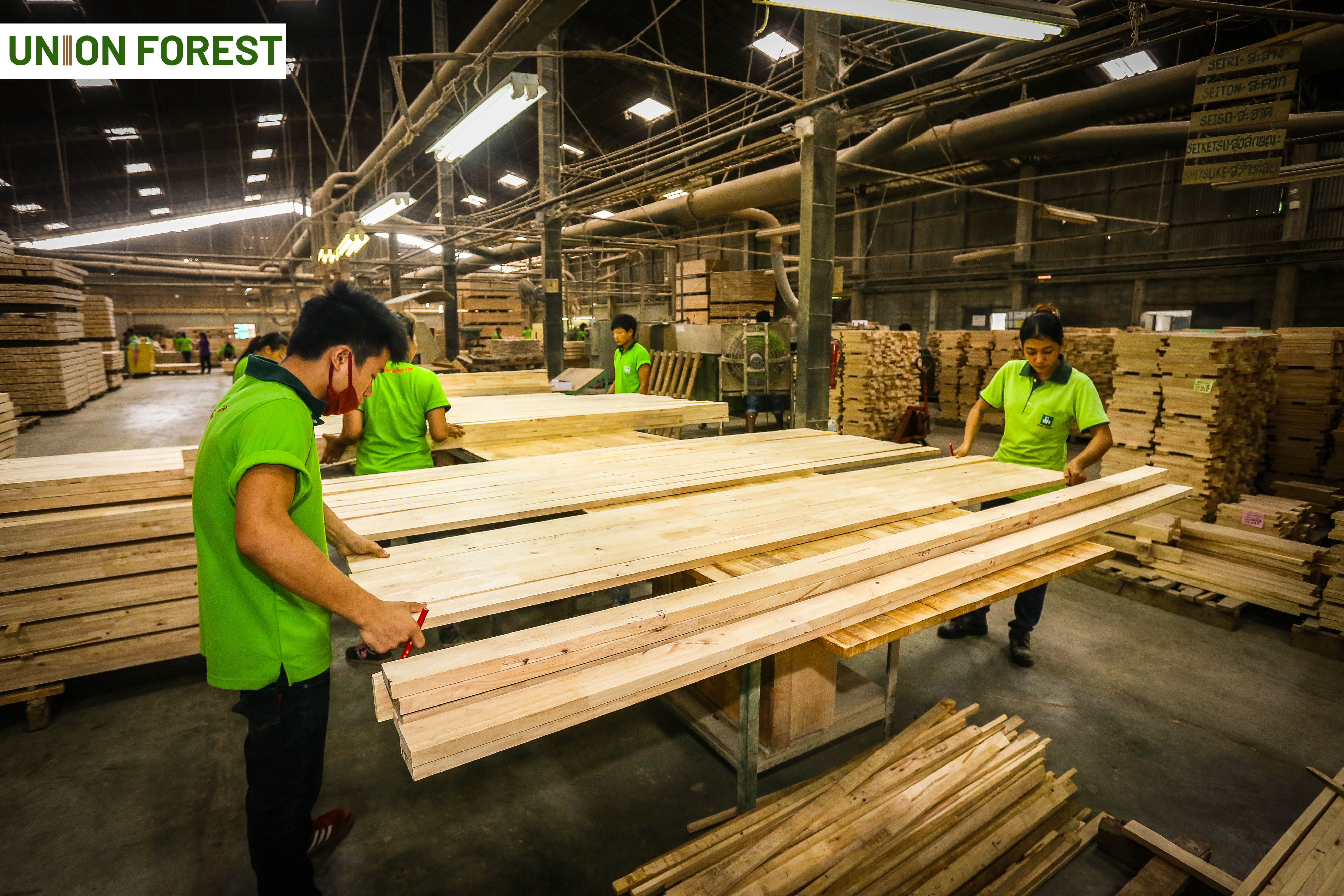 About – Union Forest