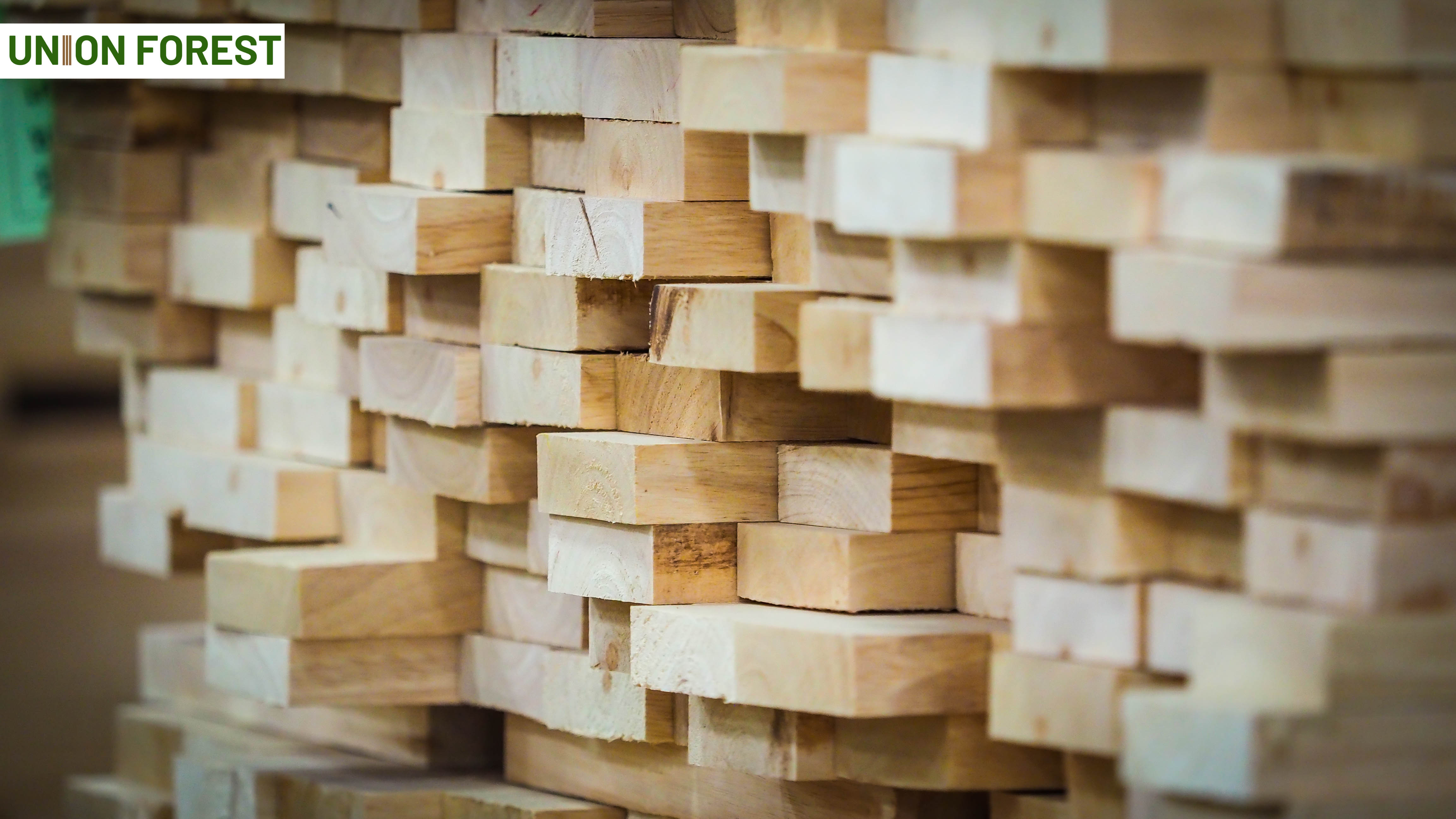 About – Union Forest