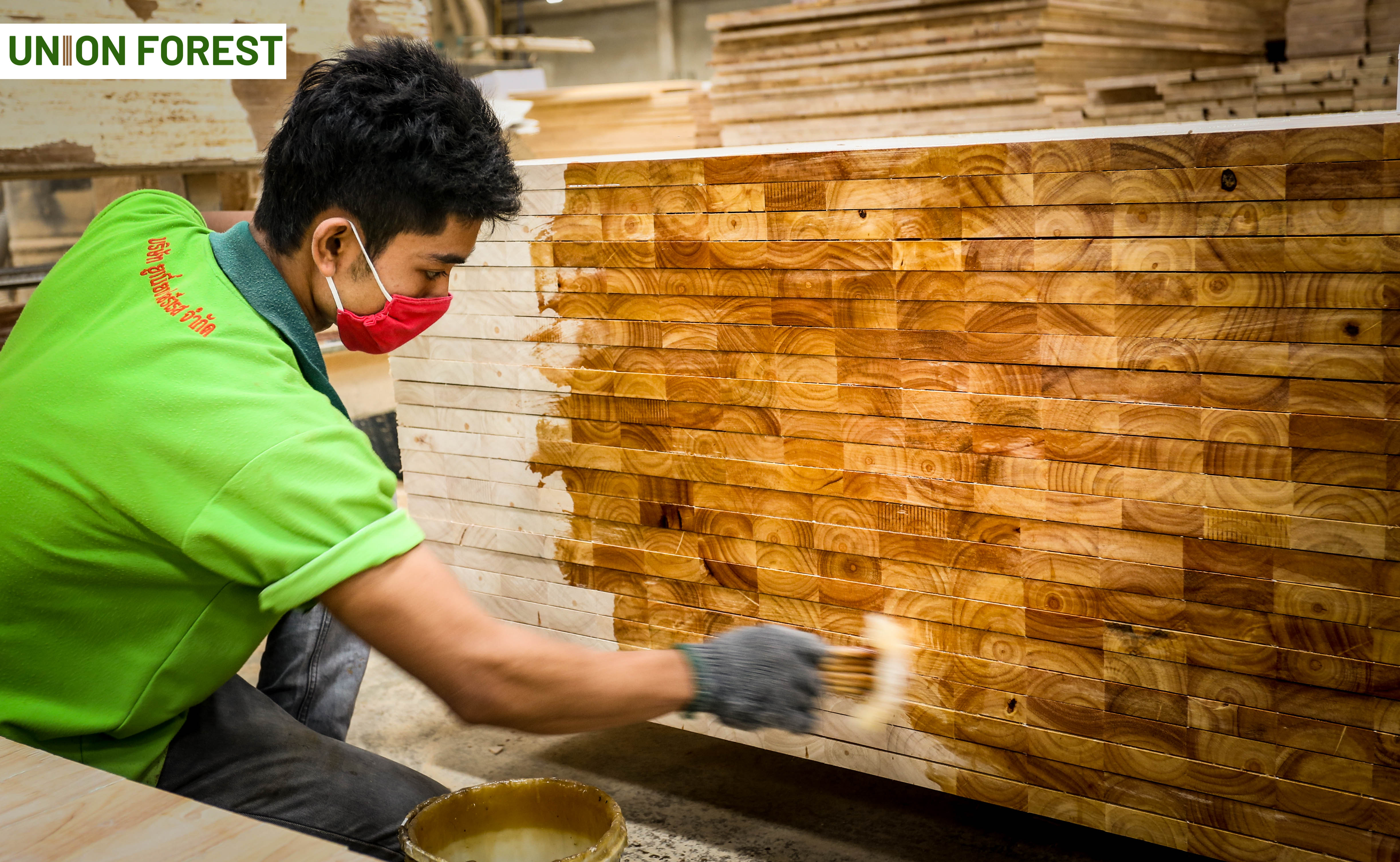 About – Union Forest